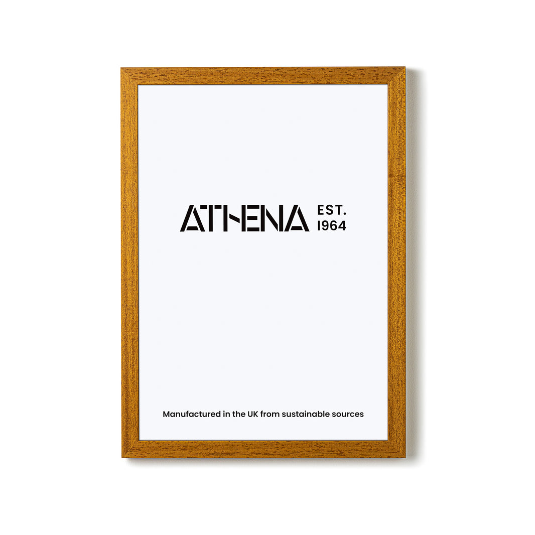 Athena Posters Athena Art Prints And Affordable Art Company History
