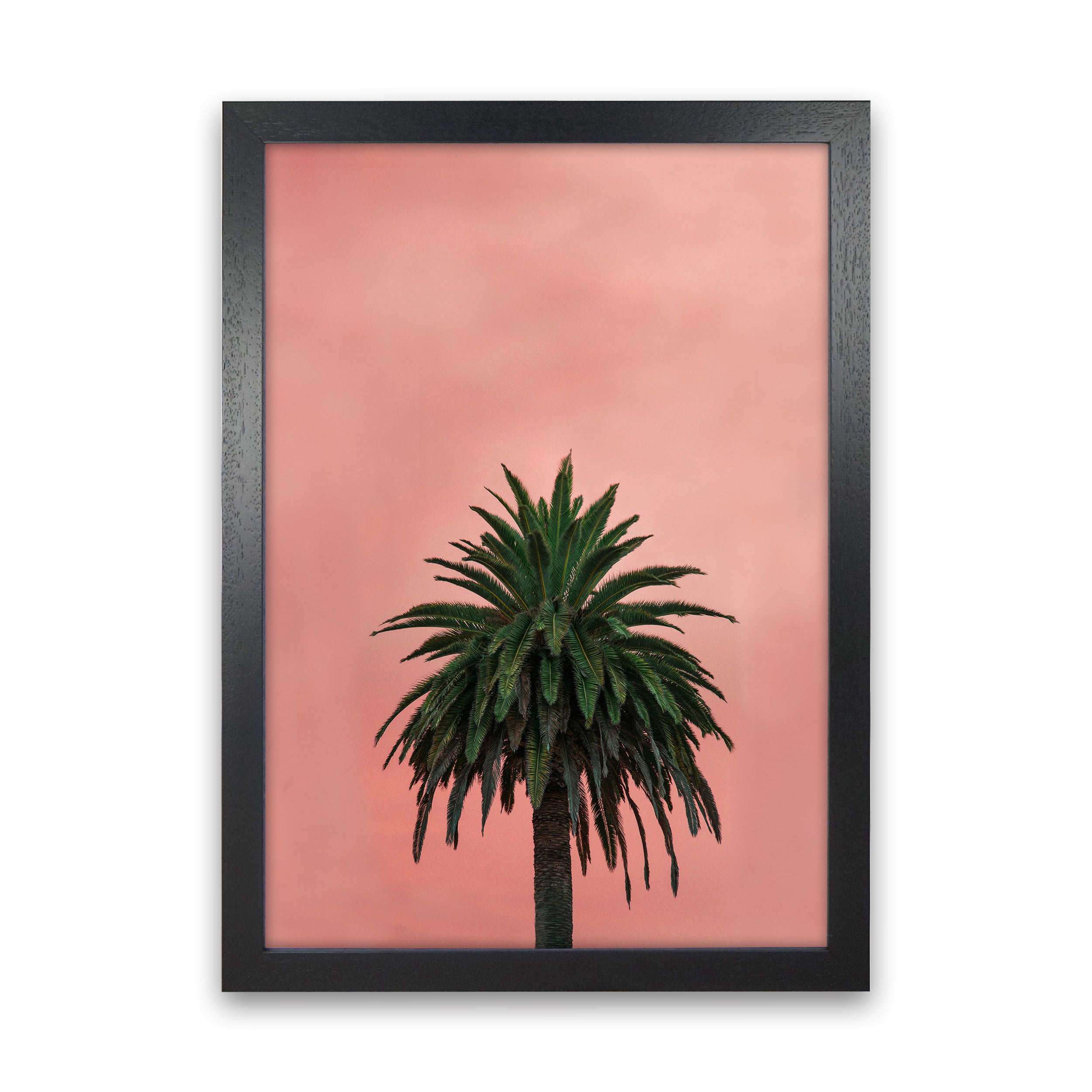 Pink Palm Abstract Art Print by Seven Trees Design