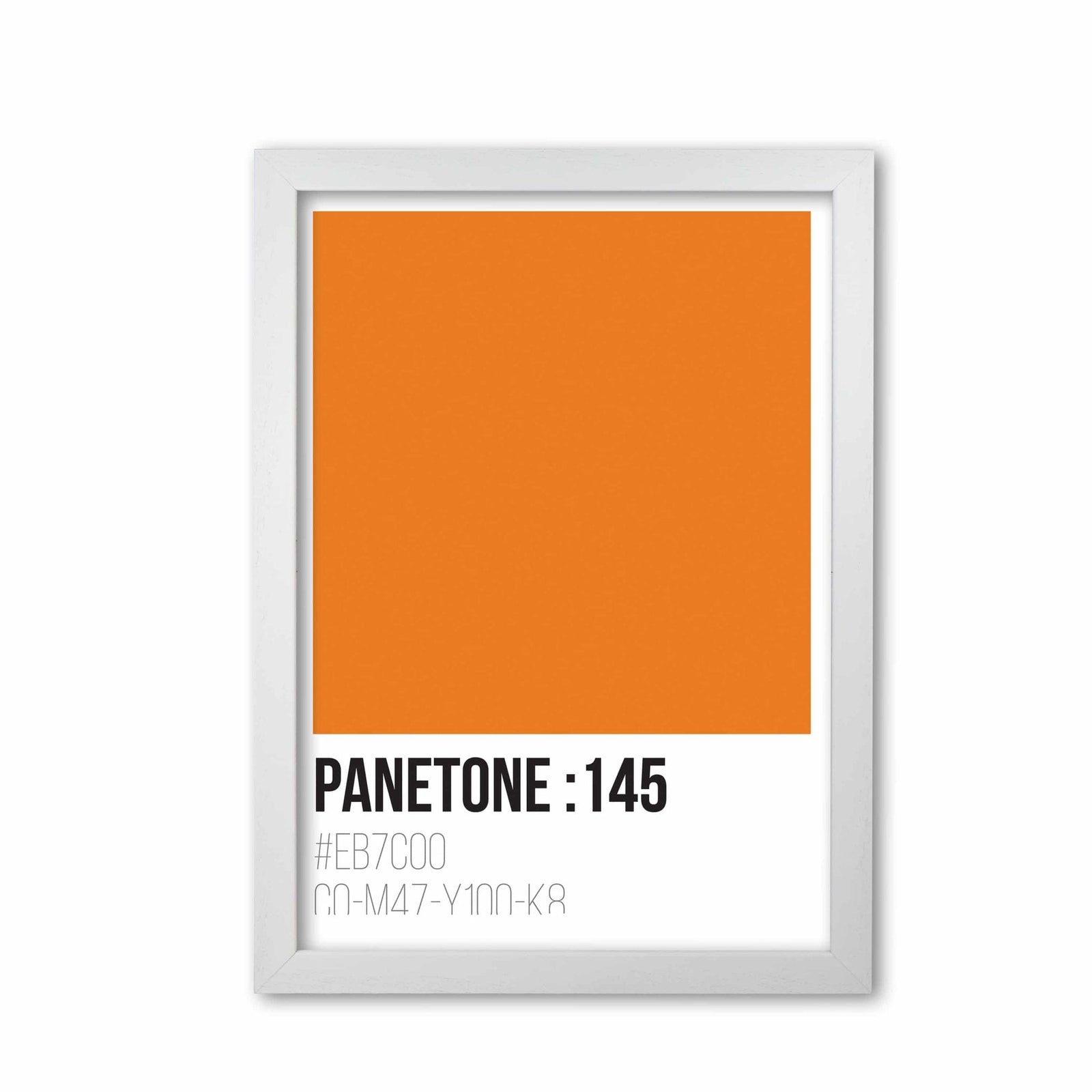 Panetone Colours 145 Modern Print